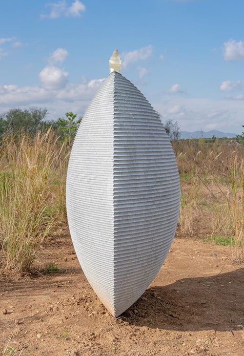 Migratory DMZ Birds on Asymmetric Lens
